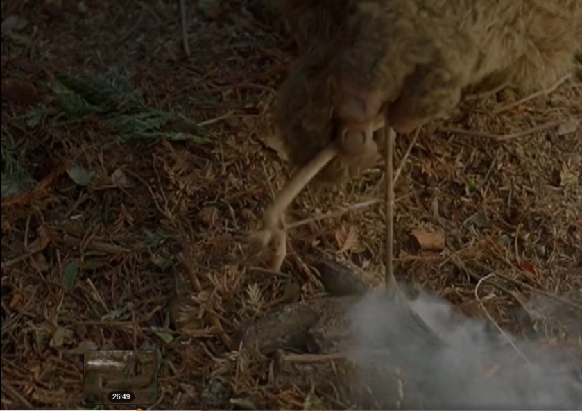 Back to Basics – How? – Living History in the Star Wars Galaxy