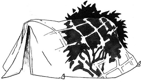 Galactic Style Guide – Tents and Shelters – Living History in the Star ...