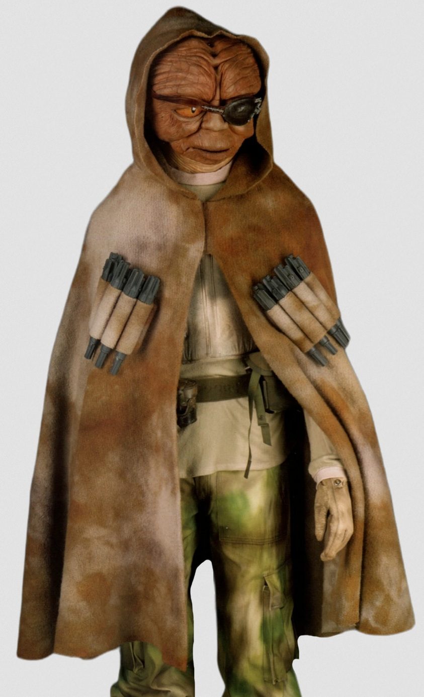 Galactic Style Guide – Capes and Cloaks I – Living History in the Star ...