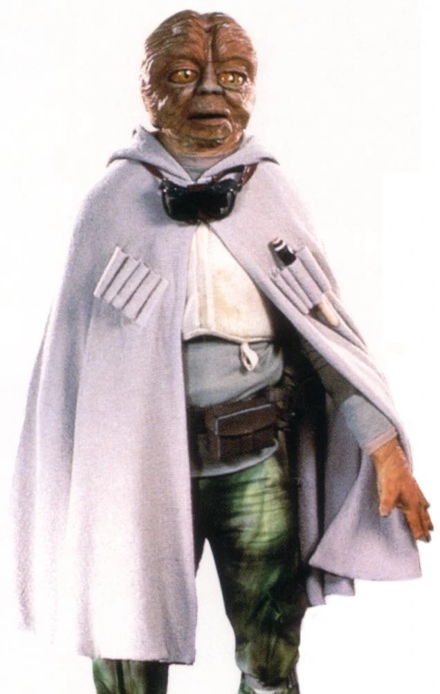 Galactic Style Guide – Capes and Cloaks I – Living History in the Star ...