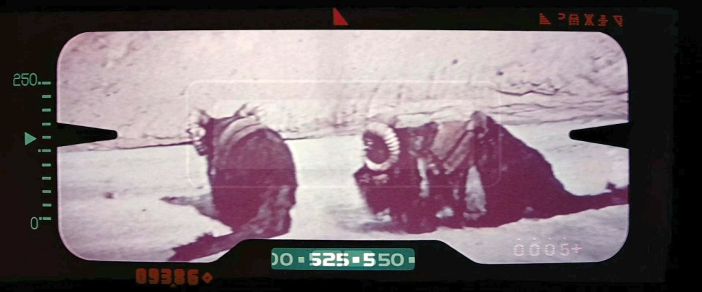 Galactic Style Guide – Binoculars – Living History in the Star Wars Galaxy